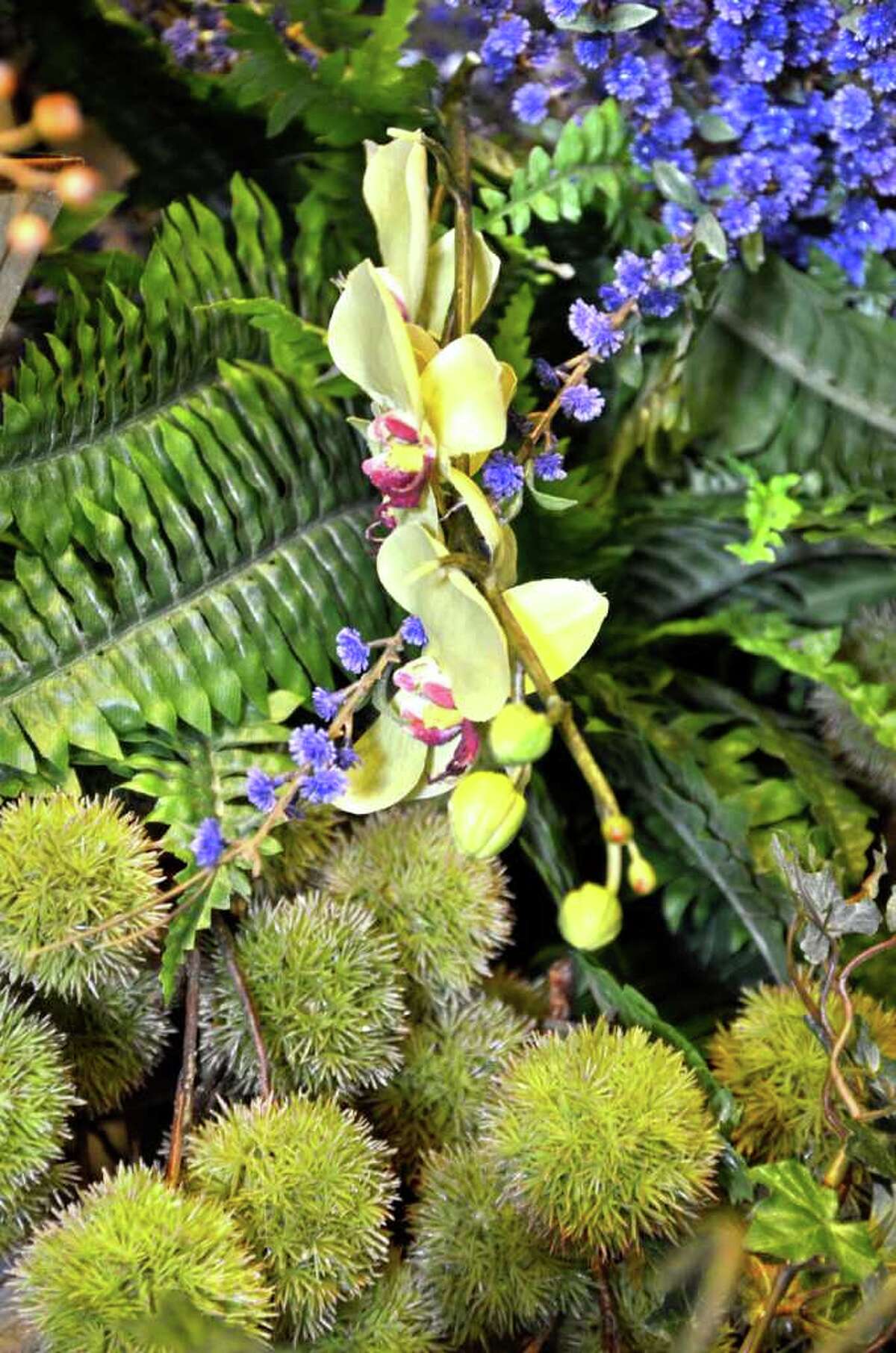 Bon Fleur celebrates 20 years