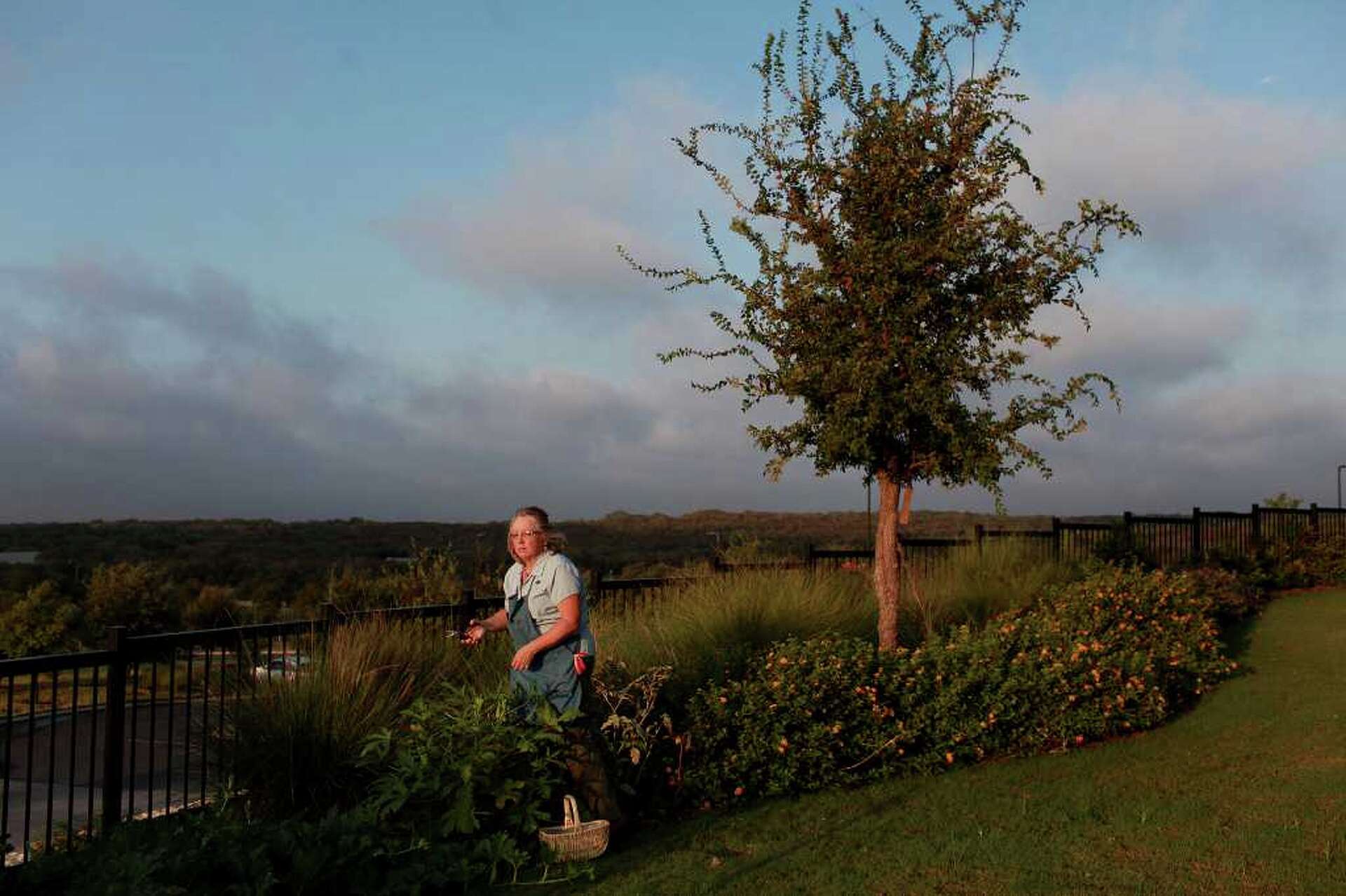 Tending to the resort's gardens
