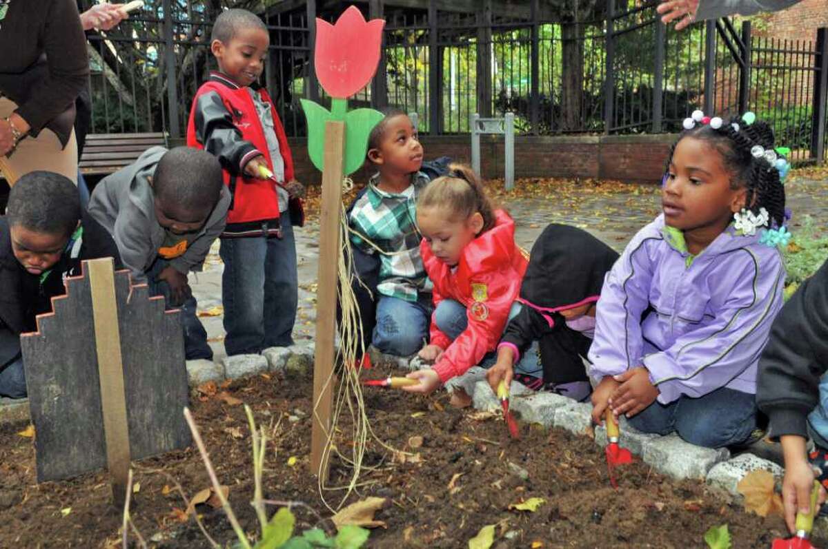 Kids learn the ways of tulips