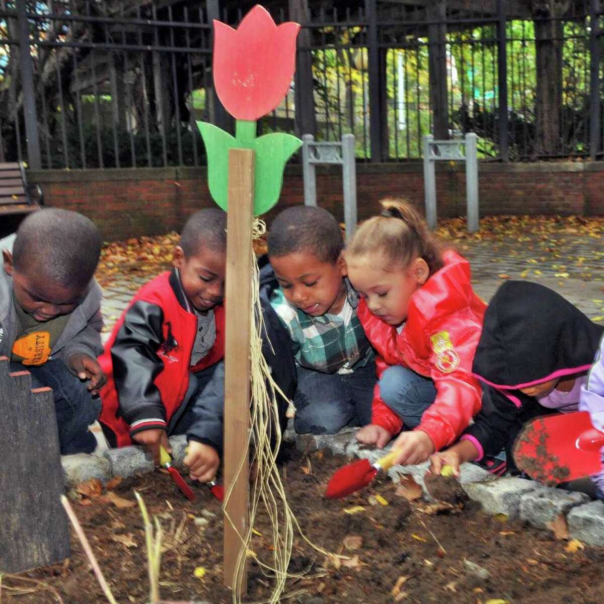 Kids learn the ways of tulips