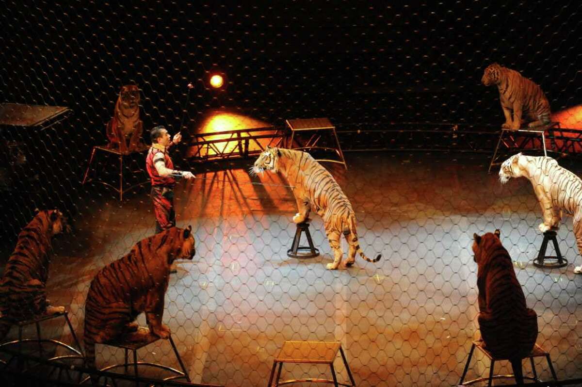 Circus comes to town 'Fully Charged'