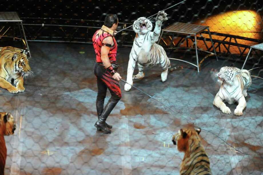 Circus comes to Bridgeport - Connecticut Post
