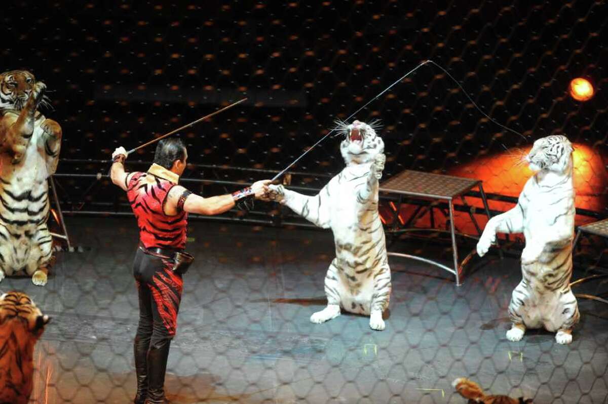 Circus comes to town 'Fully Charged'
