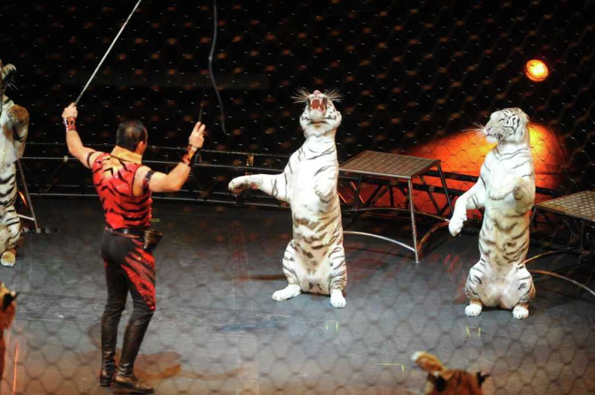 'Fully Charged' circus comes to arena for 8 shows