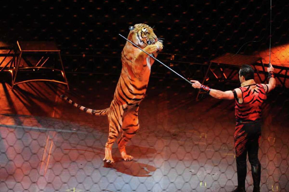 Circus comes to town 'Fully Charged'