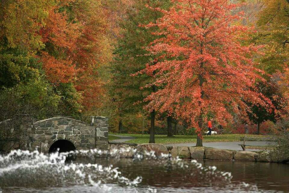 Best fall foliage walks and hikes in western Connecticut