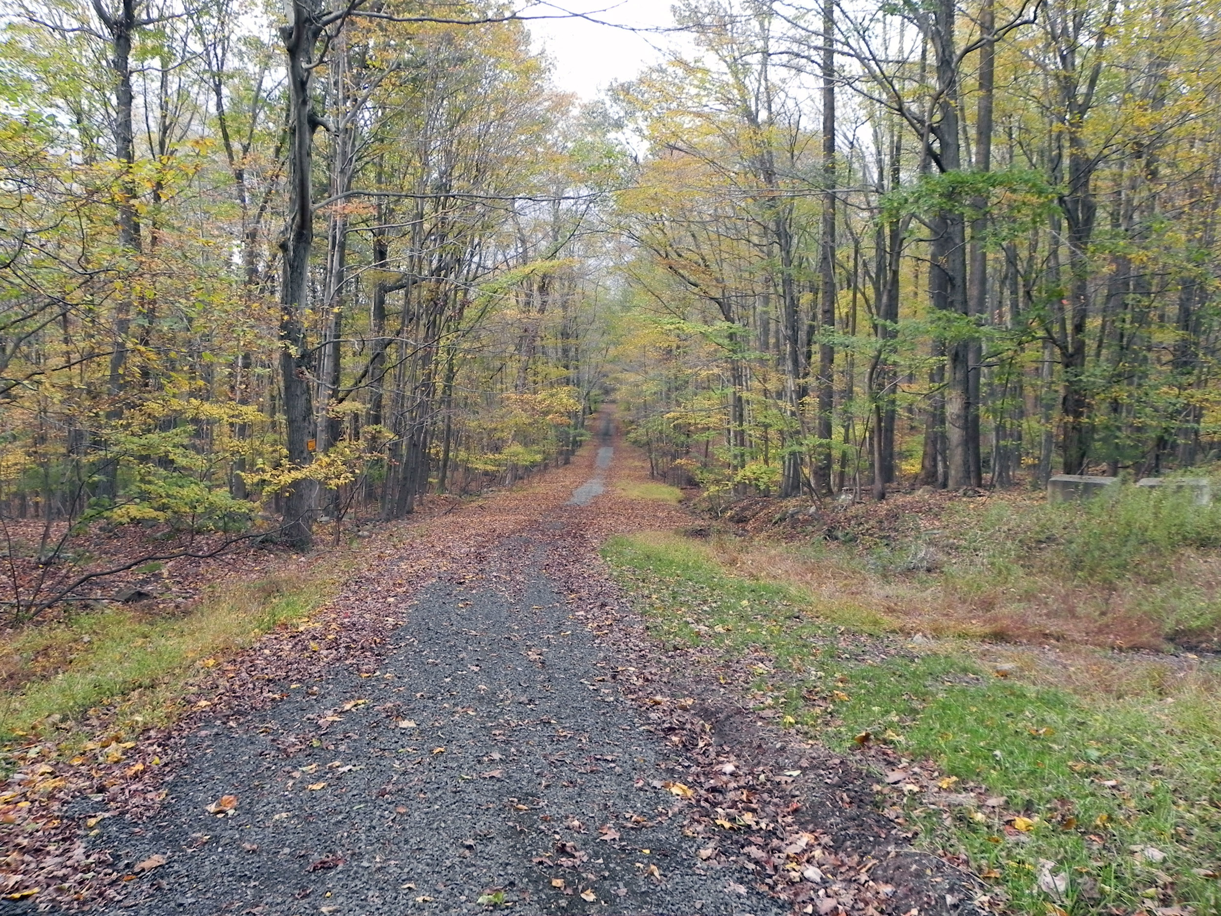 Urban myths and legends of Connecticut