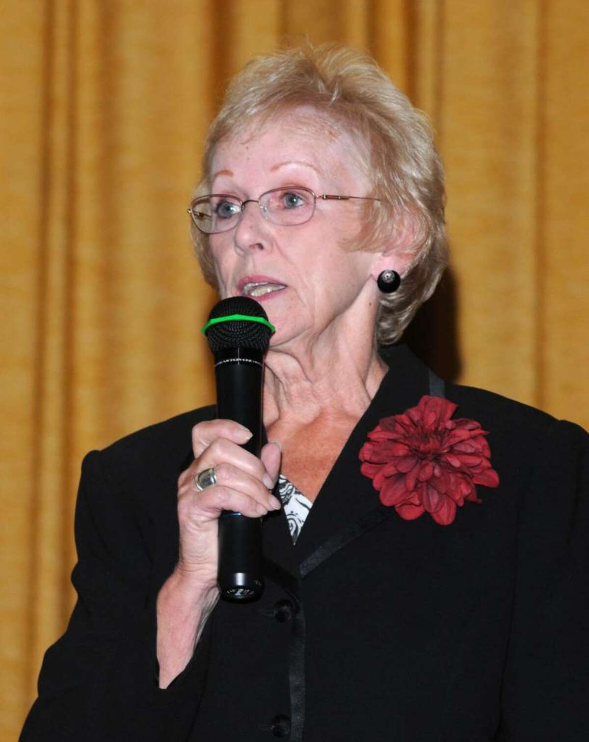 Newtown candidates bring different approaches to debate