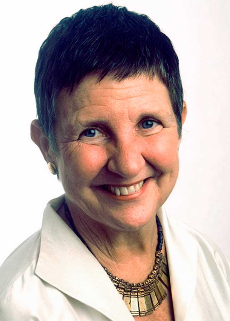 Hayes steps away from Sherman firehouse project