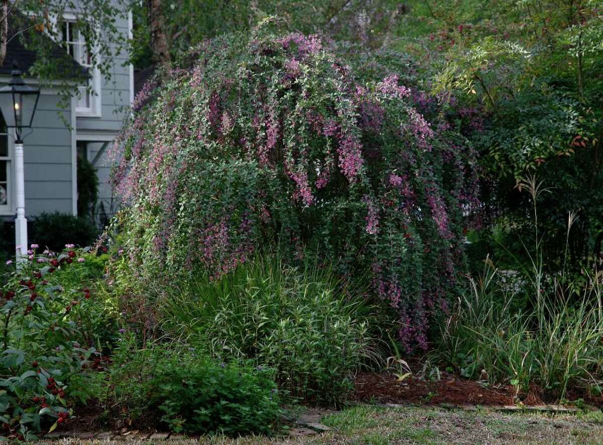 'Little Volcano' produces a big show in fall