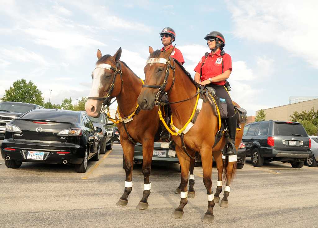 Study details cost of police force