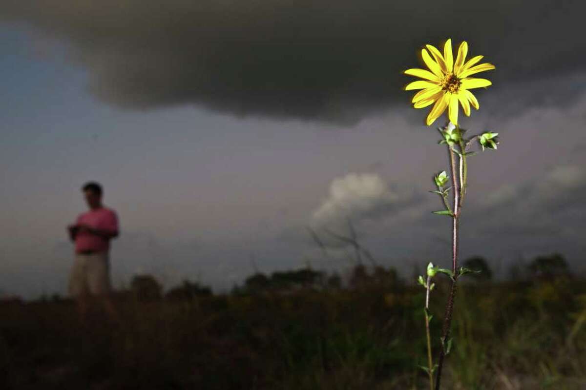 Gray: The prairie hunters