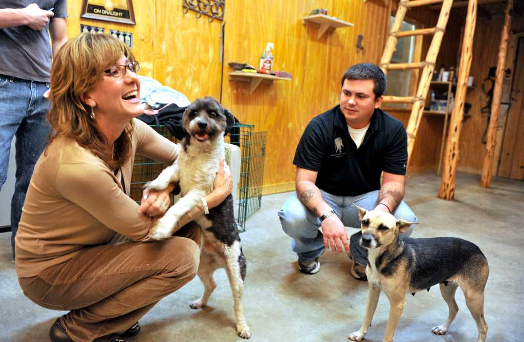 Iraq vet finds peace transporting dogs to new homes