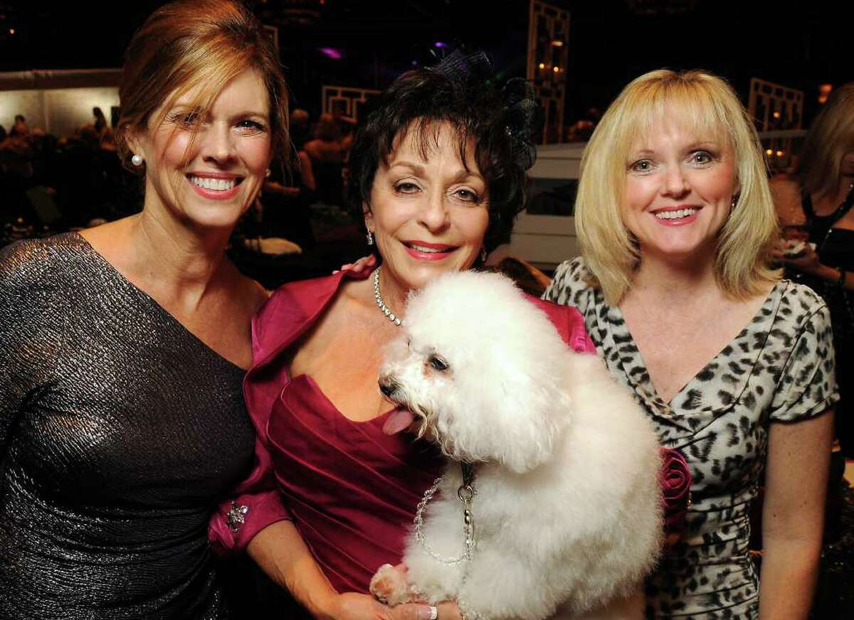 CAP celebrates 25 years of helping animals