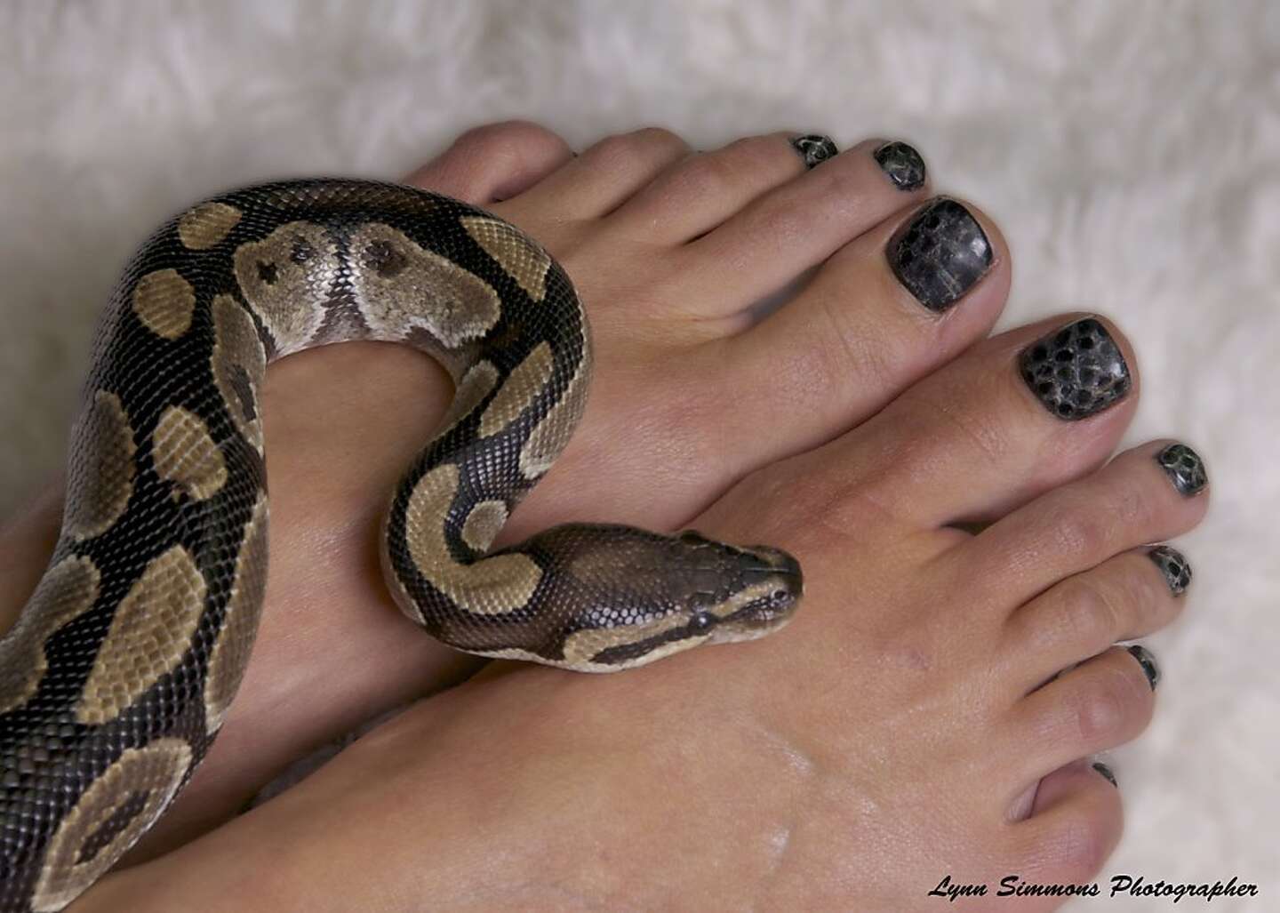 Snake style that slithers