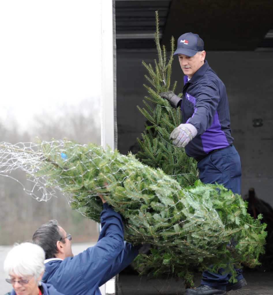 Photos: Trees for Troops