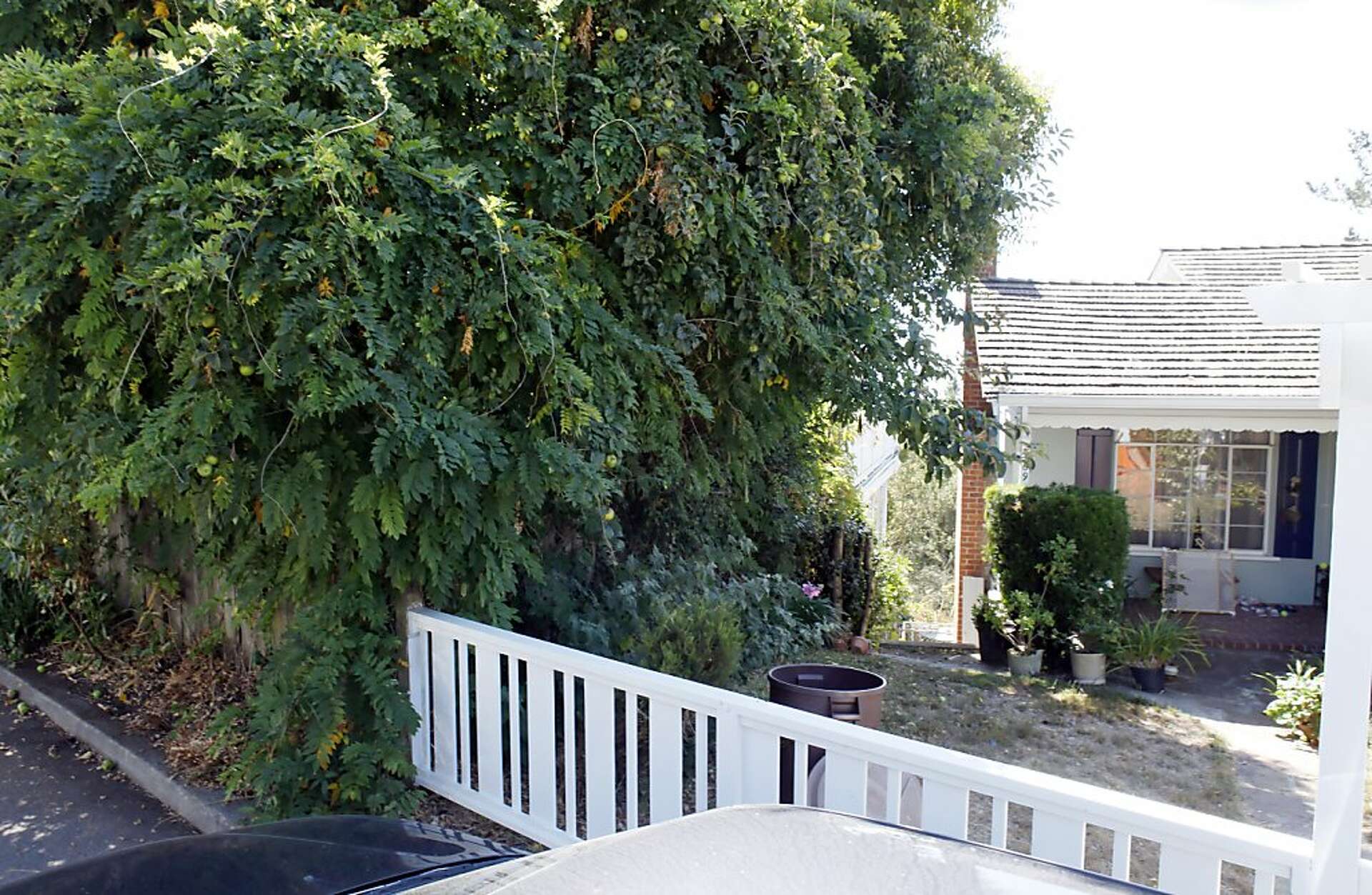 Oakland Mayor Jean Quan accused of home blight