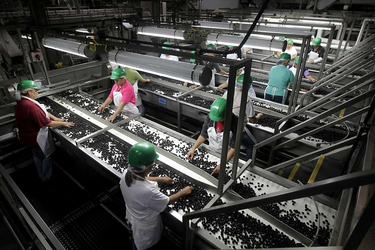 U.S. aid to Morocco worries California olive farmers