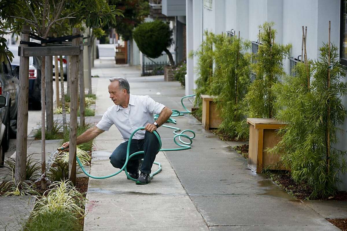 Grey2Green in S.F. turns concrete to pocket garden