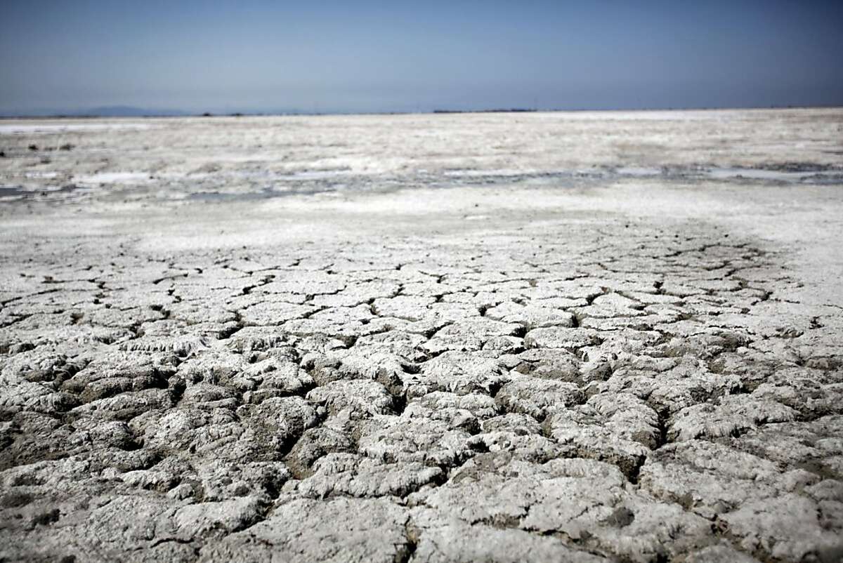 Oldest Bay Area salt flat turned into wetland