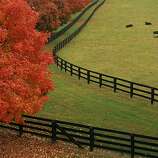 Kentucky's bluegrass region is easy to enjoy - SFGate