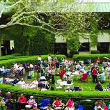 Kentucky's bluegrass region is easy to enjoy - SFGate