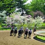 Kentucky's bluegrass region is easy to enjoy - SFGate