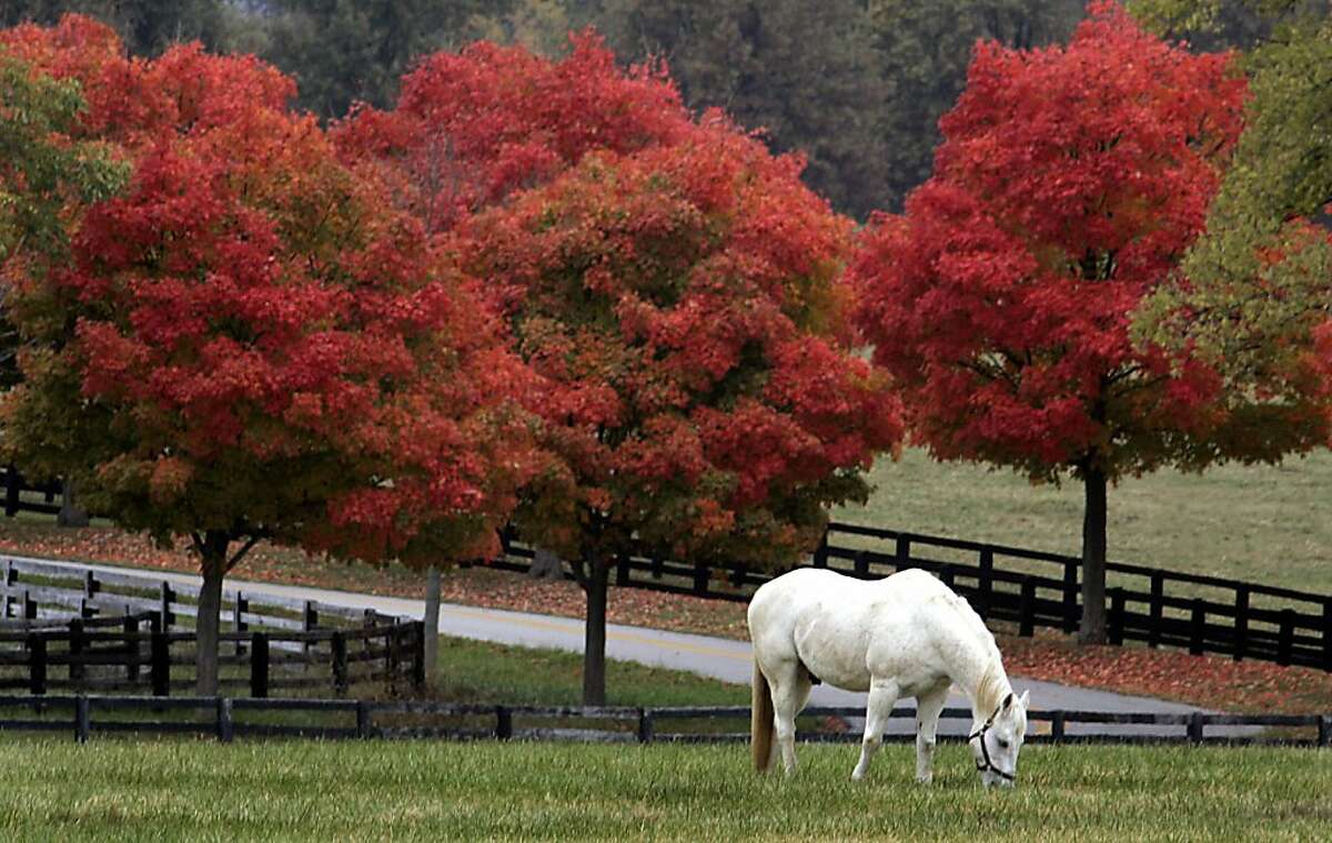 Kentucky's bluegrass region is easy to enjoy