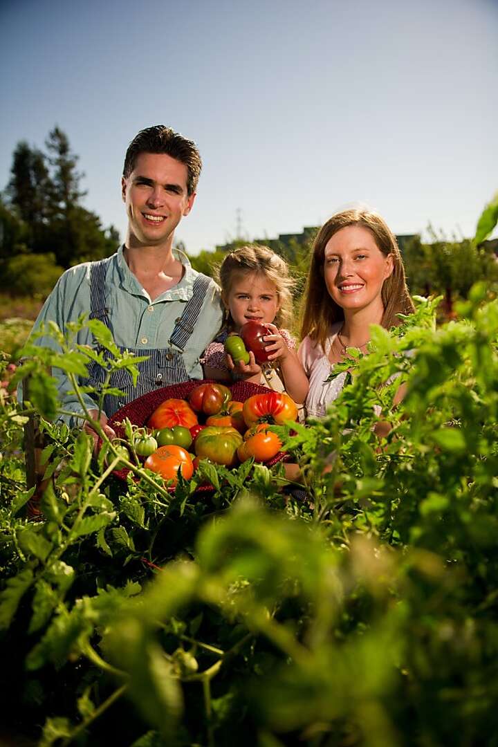 Jere Gettle's heirloom seed company is flourishing