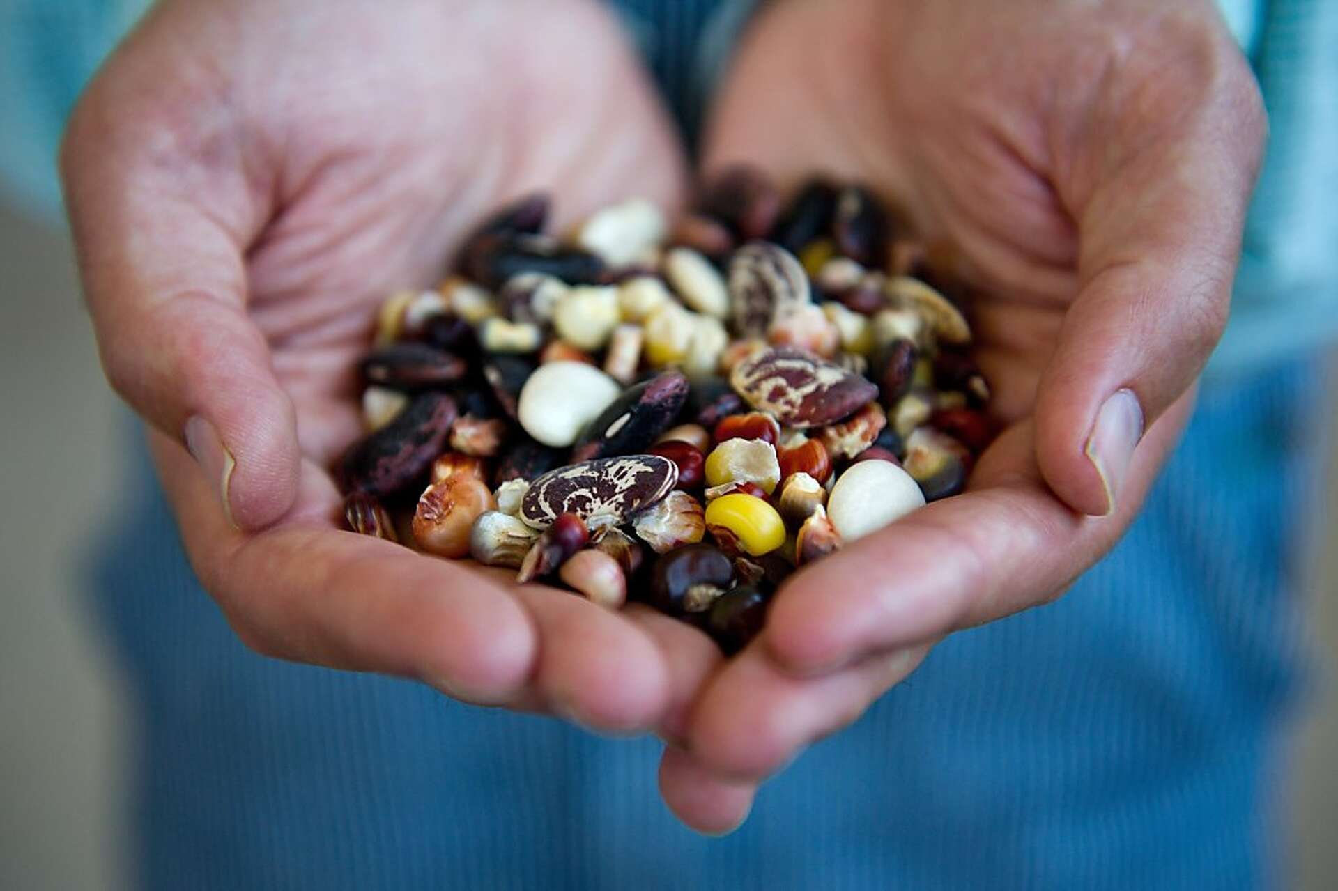 Jere Gettle's heirloom seed company is flourishing