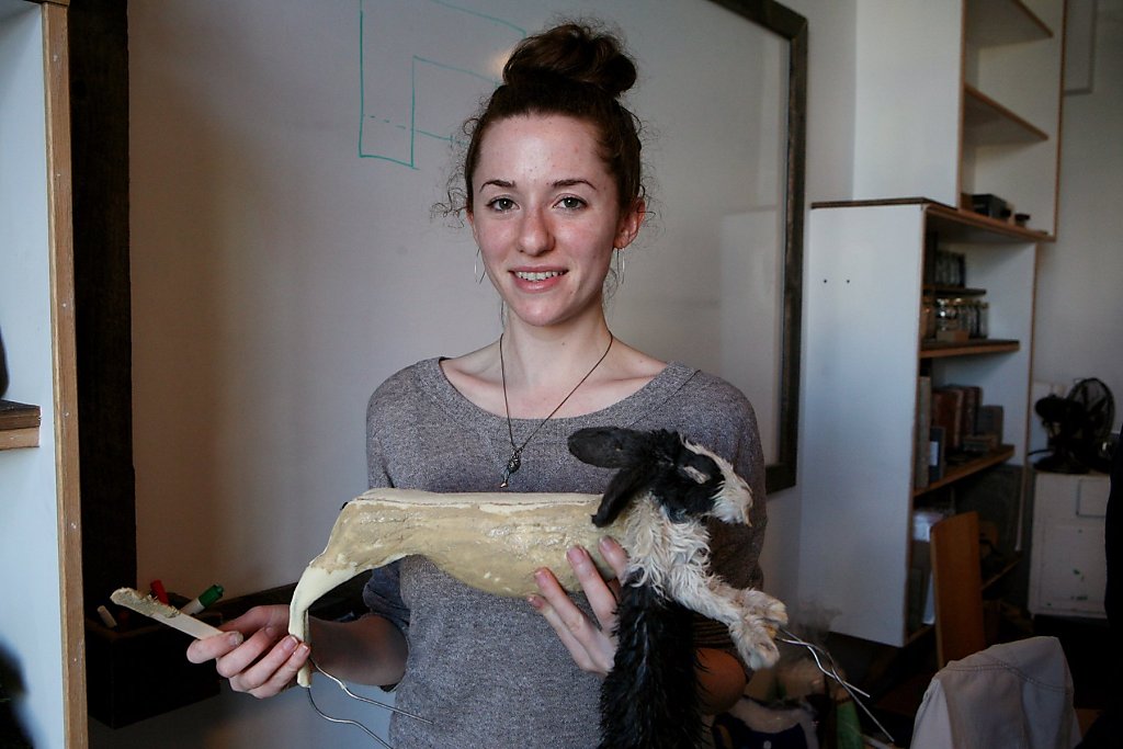 Learning the art, science of taxidermy