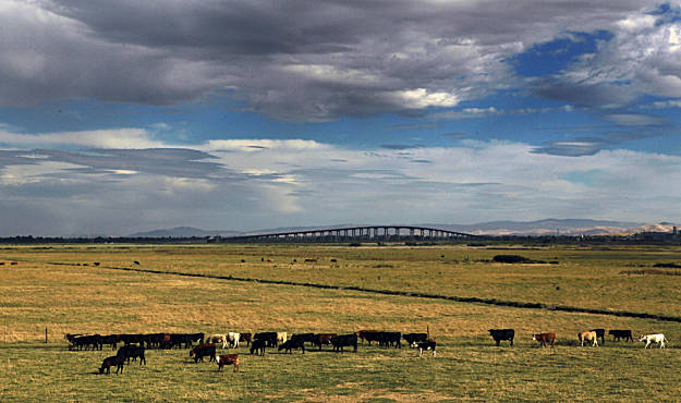 Climate change threatens Sierra, delta, group says