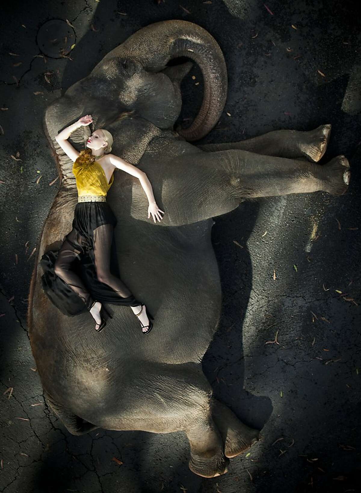 'Maharaja' exhibition opens at Asian Art Museum