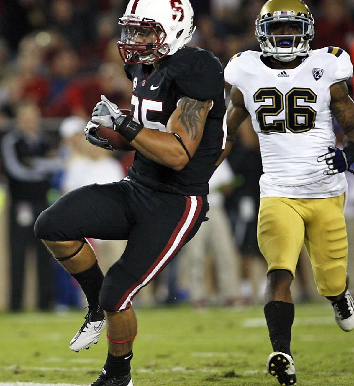 Stanford's Gaffney good fit for wildcat