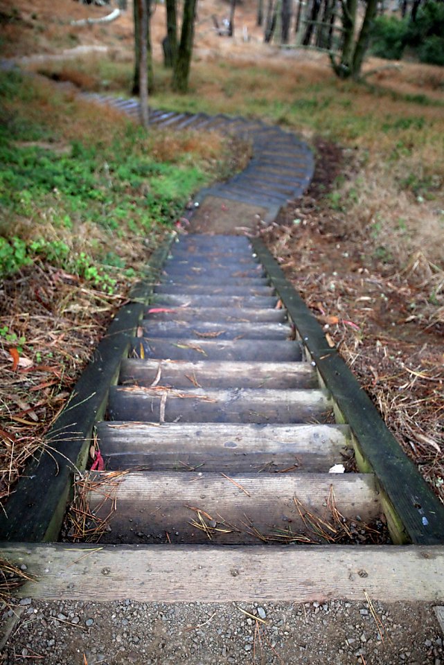 1,000 Steps Trail, Immigrant Point