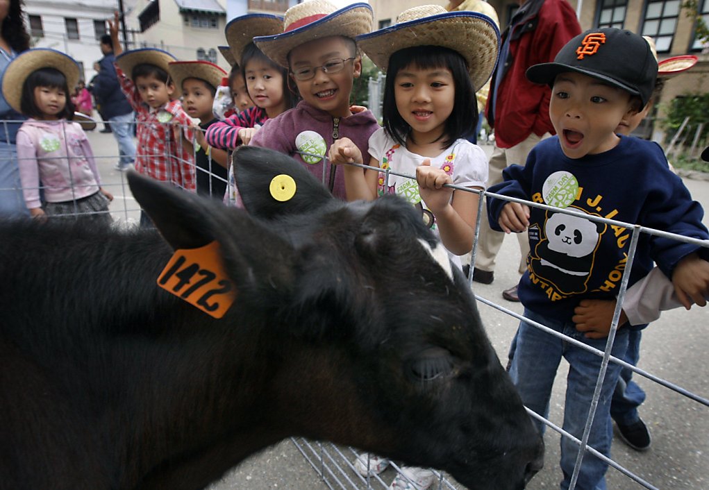 SF Farm Day brings surprise to urban schools