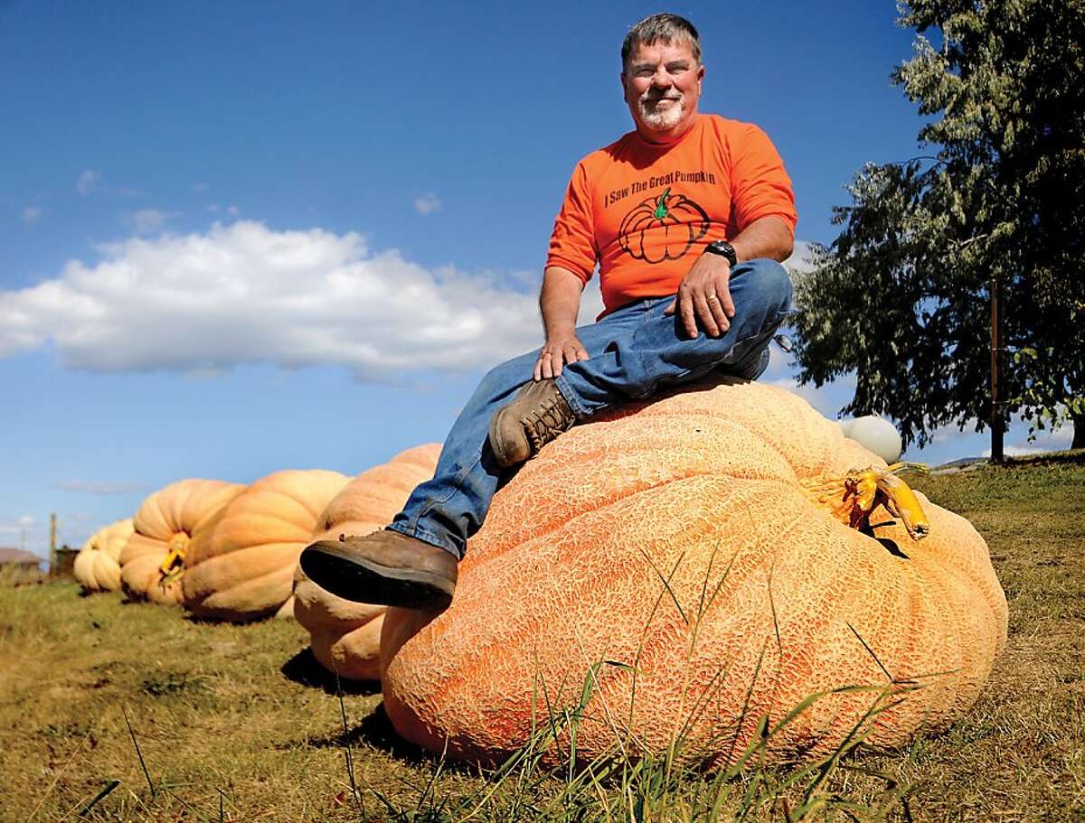 SFGate: Day in Pictures