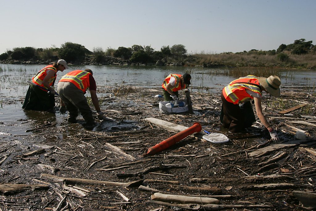 Environmentalists hunt wildlife-killing nurdles