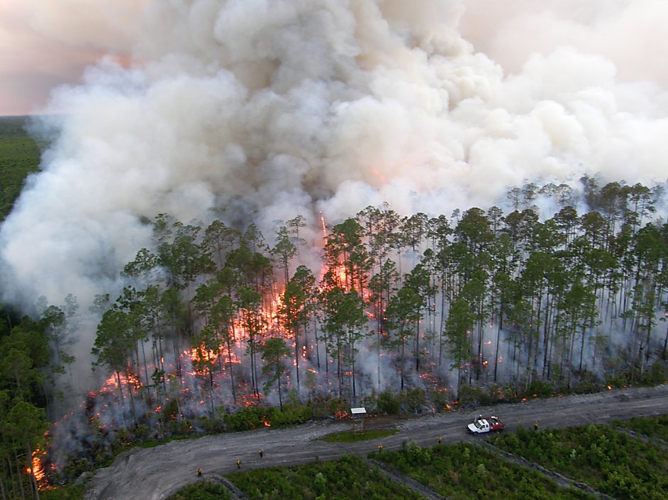 Okefenokee Swamp's 6-month fire burns land, funds