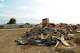 On edge of a desert paradise, Coachella farm workers live in putrid ...