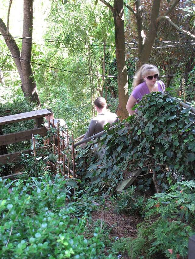 Filbert Steps offer ascent through urban growth