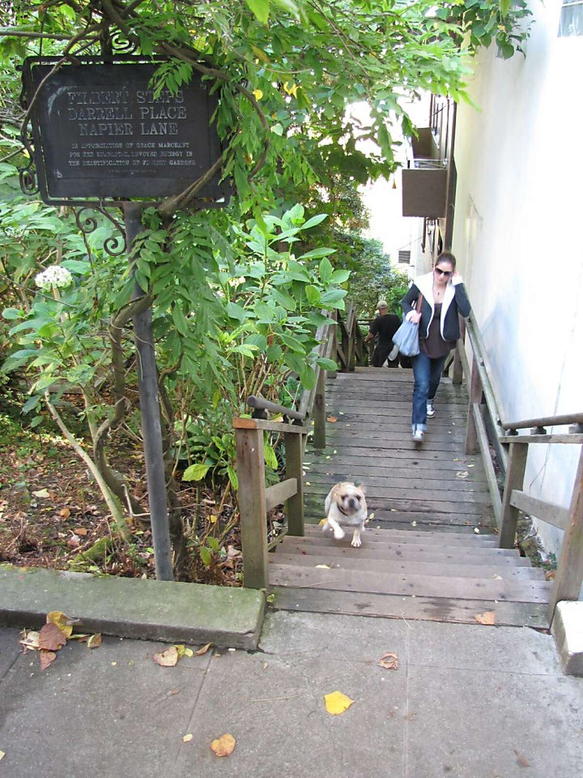 Filbert Steps offer ascent through urban growth