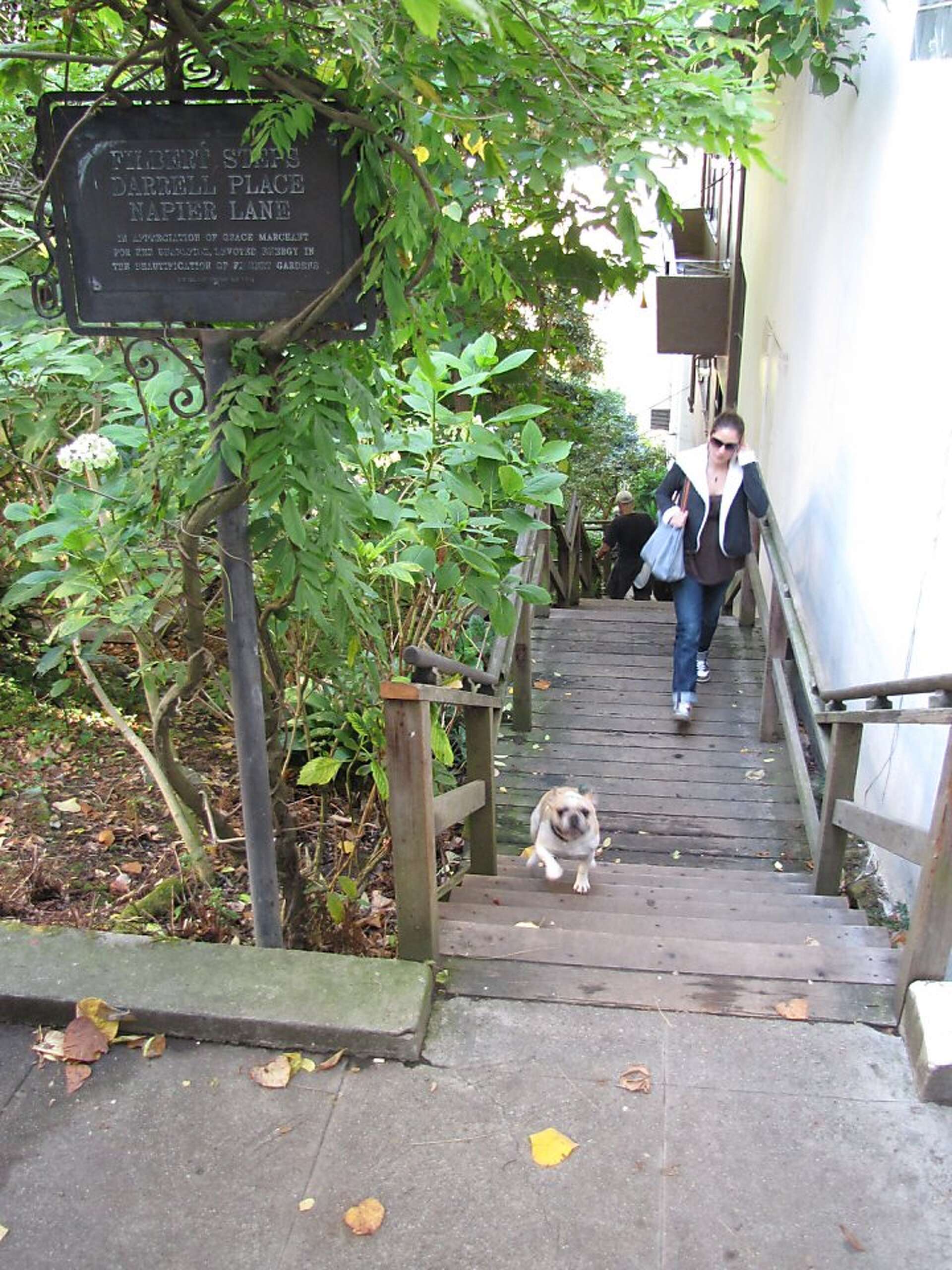 Filbert Steps offer ascent through urban growth
