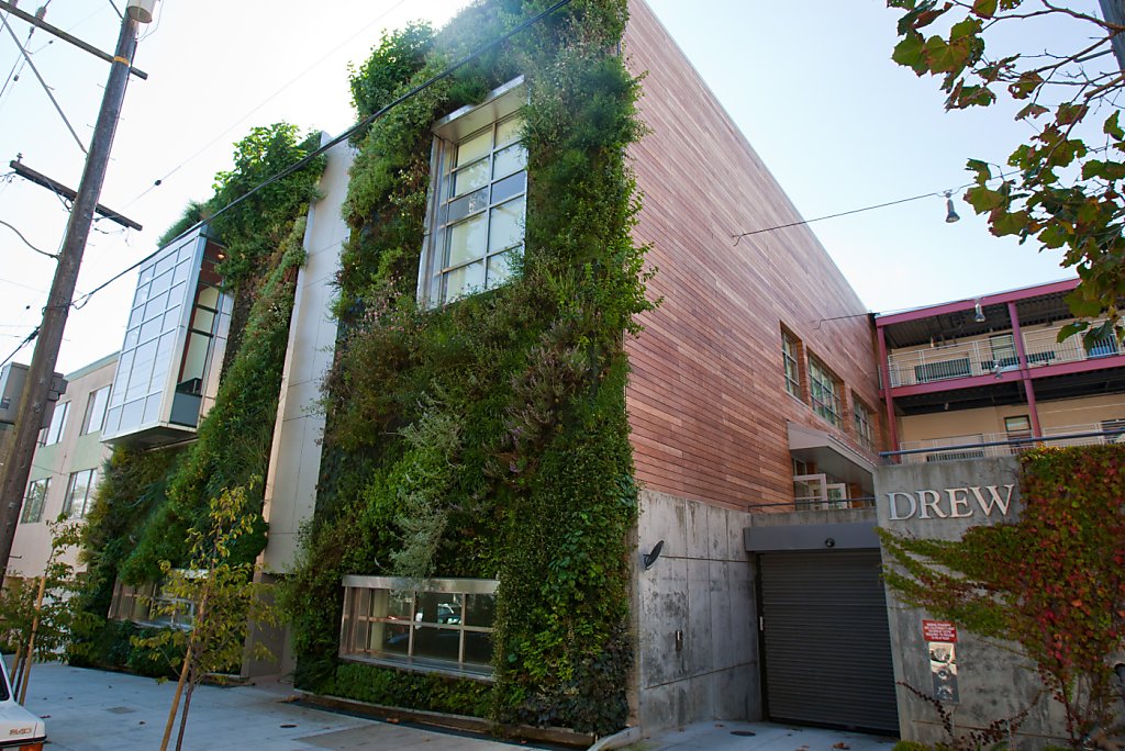 Vertical garden at Drew School, S.F.