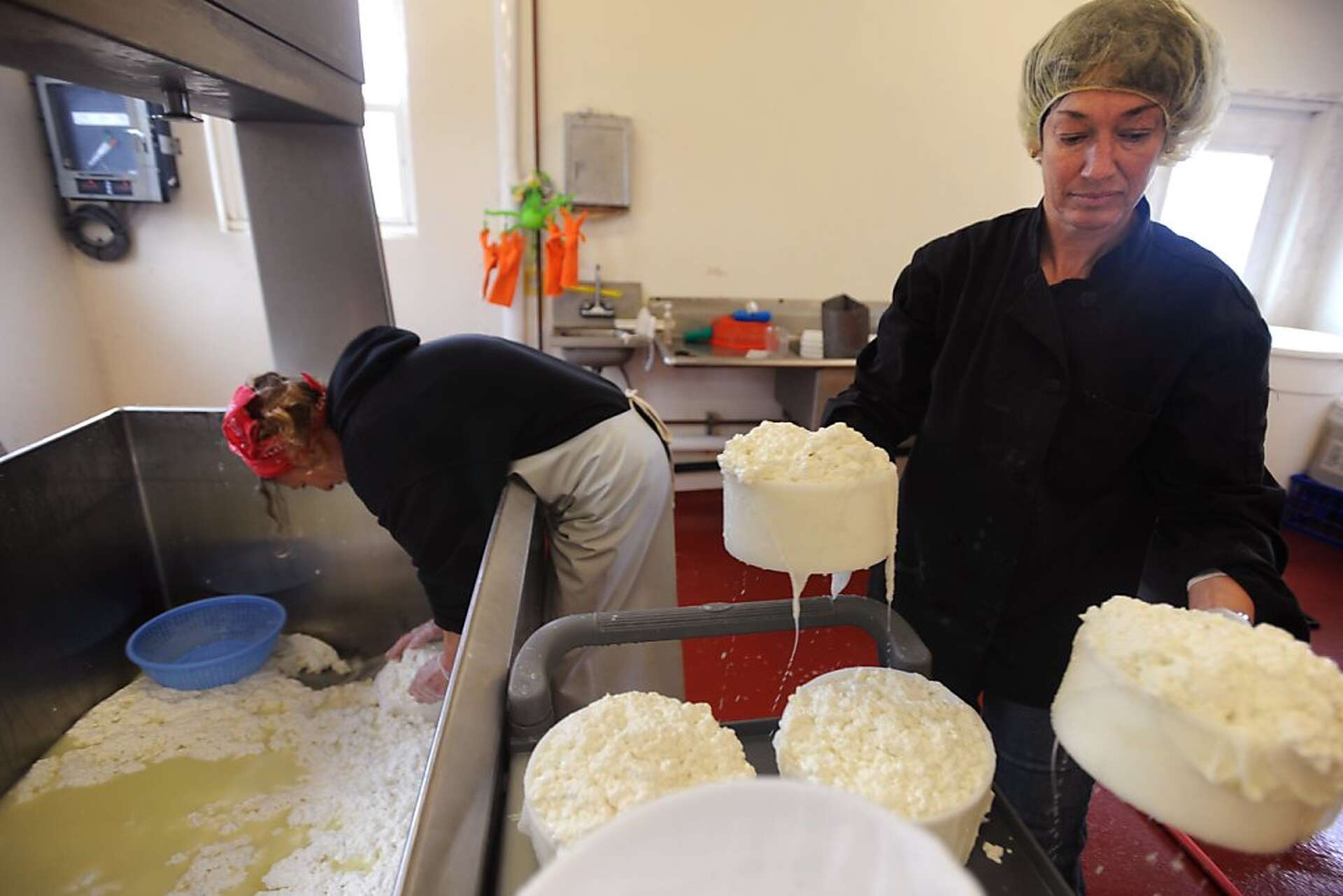 Artisan cheese makers abound in Sonoma and Marin