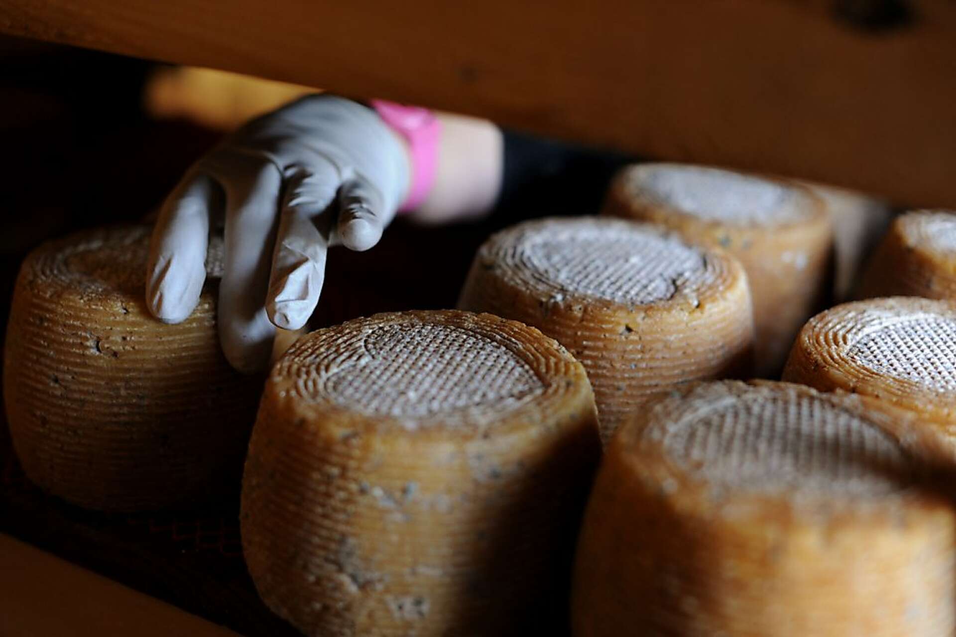 Artisan cheese makers abound in Sonoma and Marin