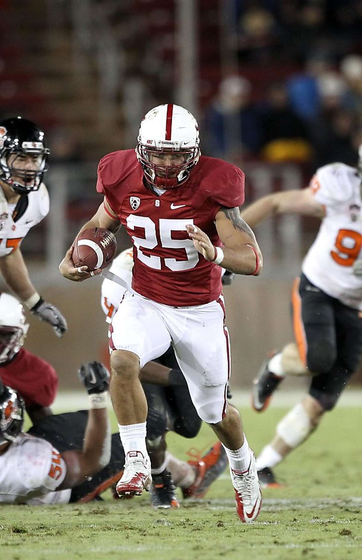 Stanford's Gaffney good fit for wildcat