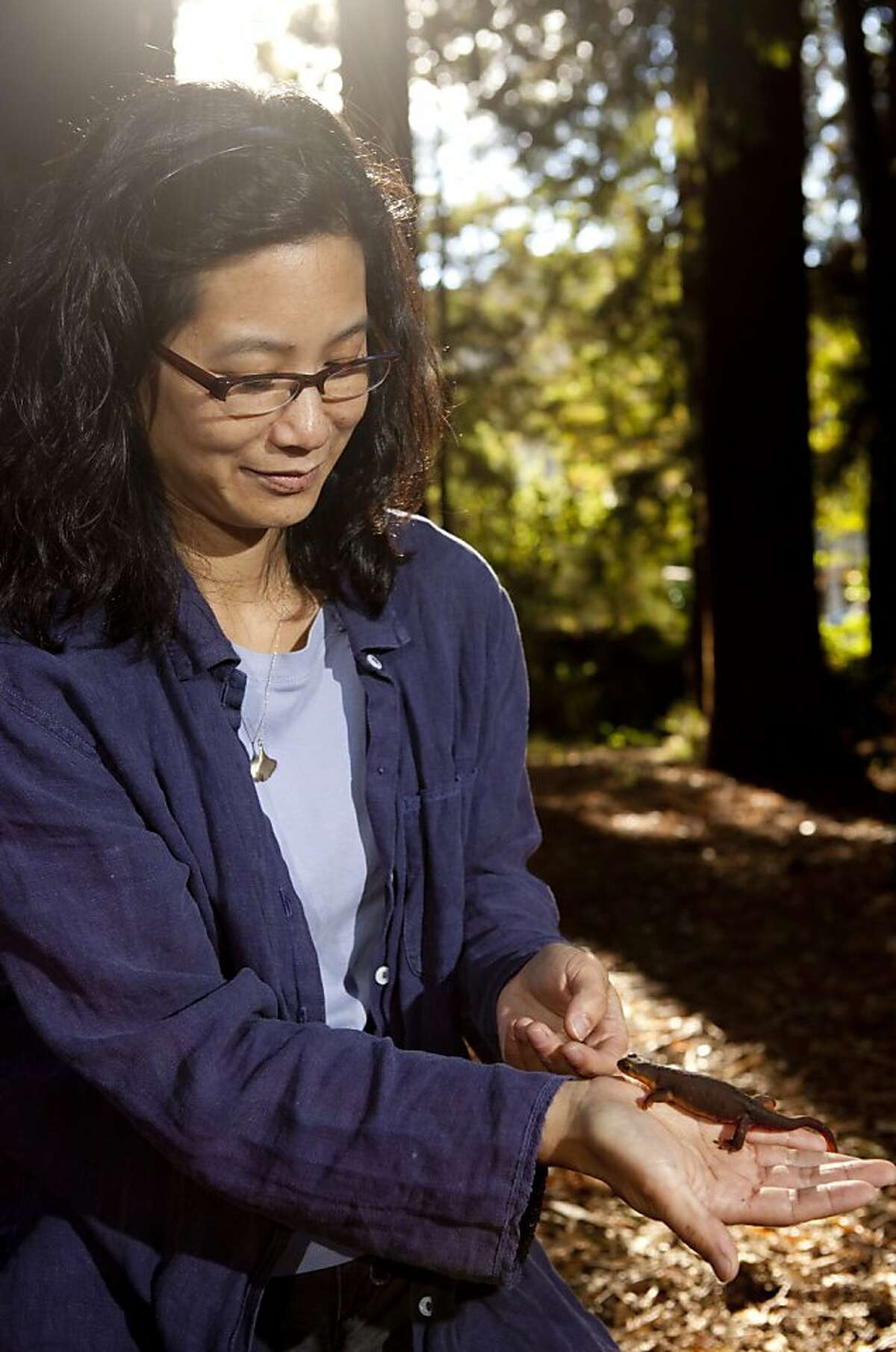 Reptile, amphibian BioBlitzes tap social media