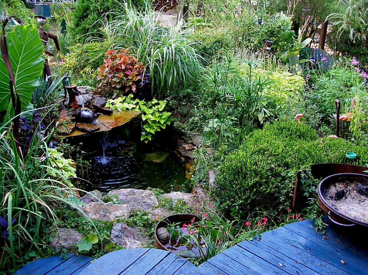 Felder Rushing writes of living in the slow lane