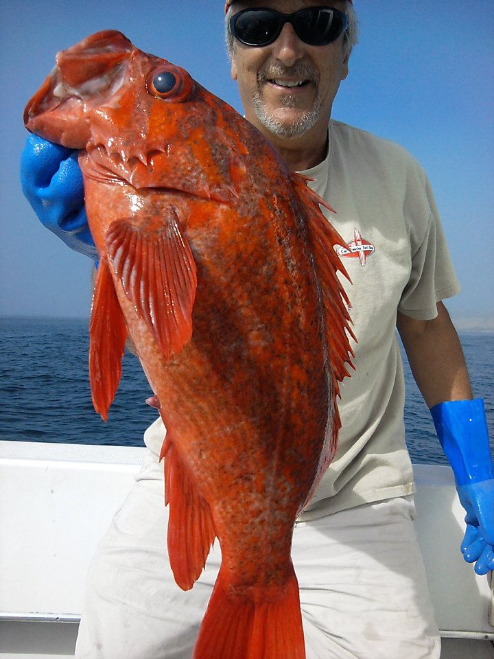 Fall is perfect time to fish San Mateo coast
